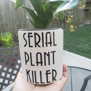Handmade | Accents | Funny Serial Plant Killer Ceramic Planter For ...